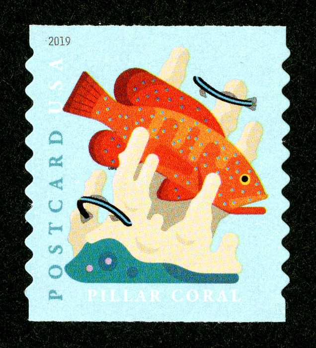 Pillar Coral - Coney Grouper - Neon Gobies - Postcard Rate - United ...