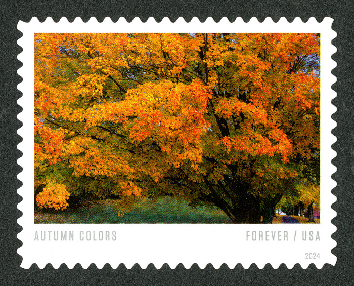 Tree With Orange Brown Leaves - United States Postage Stamp | Autumn Colors