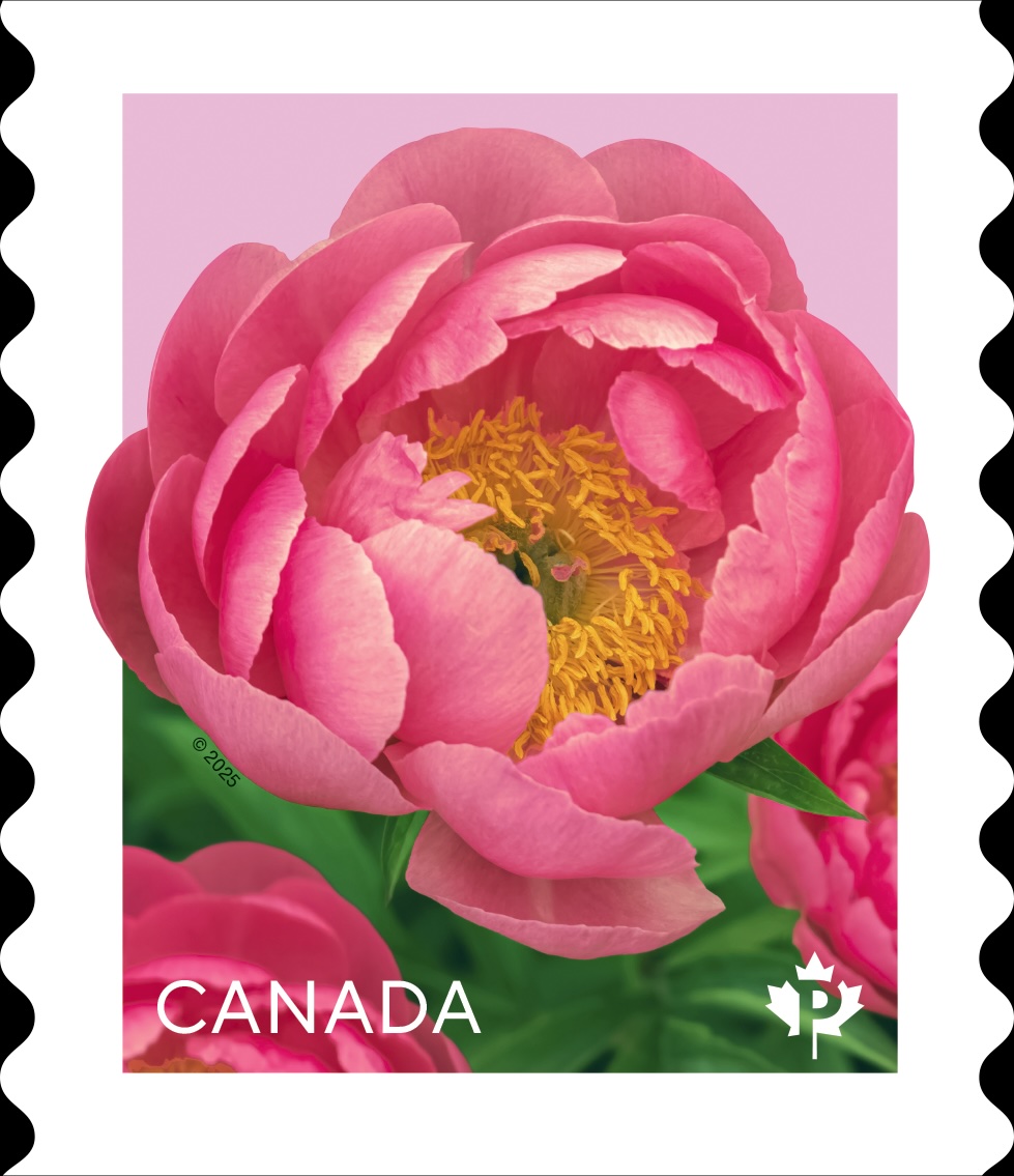Cytherea - Coil Stamp - Canada Postage Stamp | Peonies - Flowers
