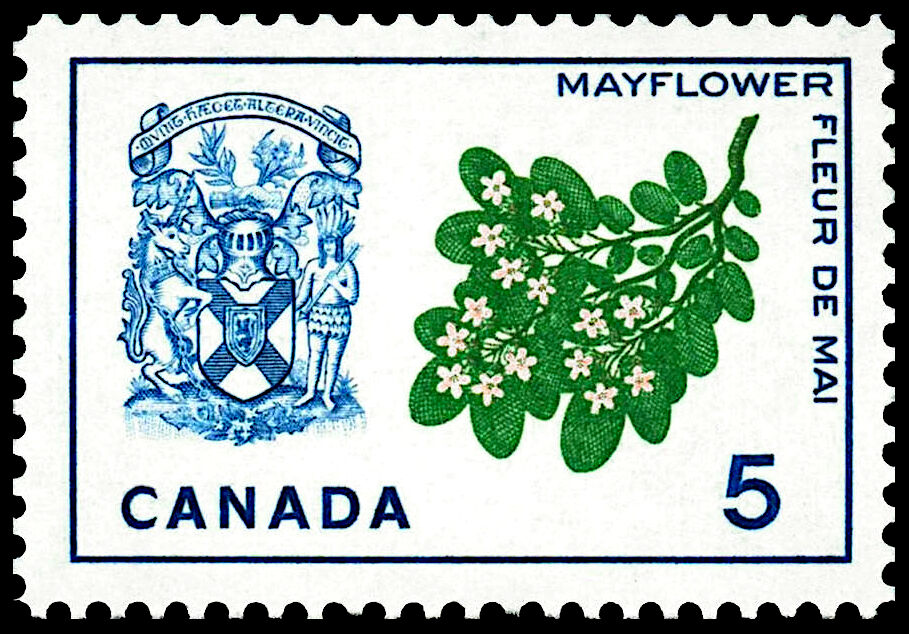 Mayflower, Nova Scotia - F - Canada Postage Stamp | Floral Emblems