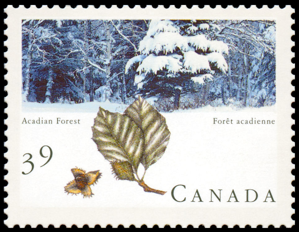 Acadian Forest - Peterborough Paper - Canada Postage Stamp | Canadian ...