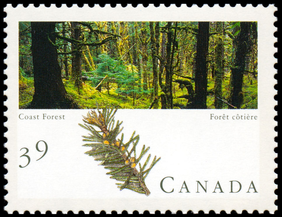 Coast Forest - Peterborough Paper - Canada Postage Stamp | Canadian Forests