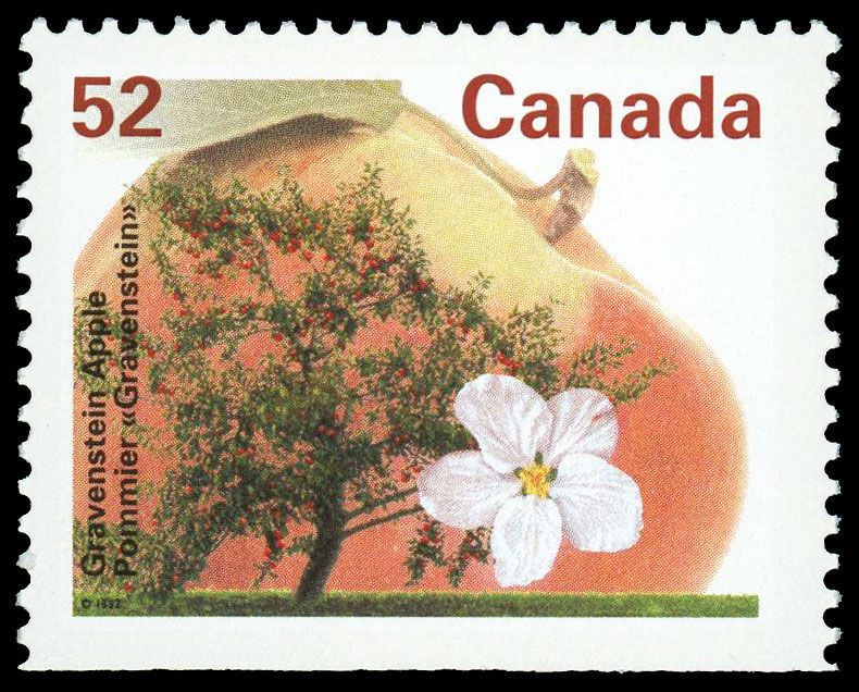 Gravenstein Apple - Booklet Single - CPP - Perf 13.1 - Canada Postage ...