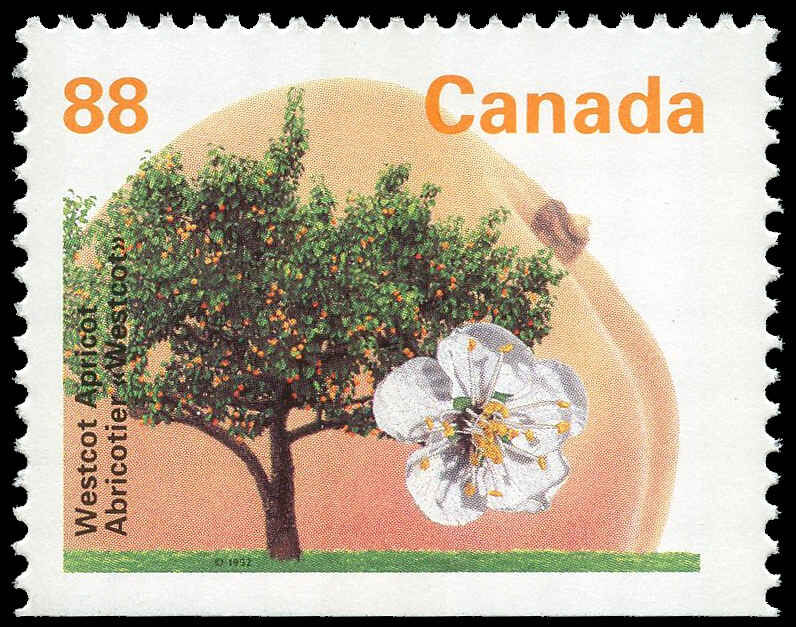 Westcot Apricot - Booklet Single - CPP - GT3 - Perf 14.4 X 13.8 ...