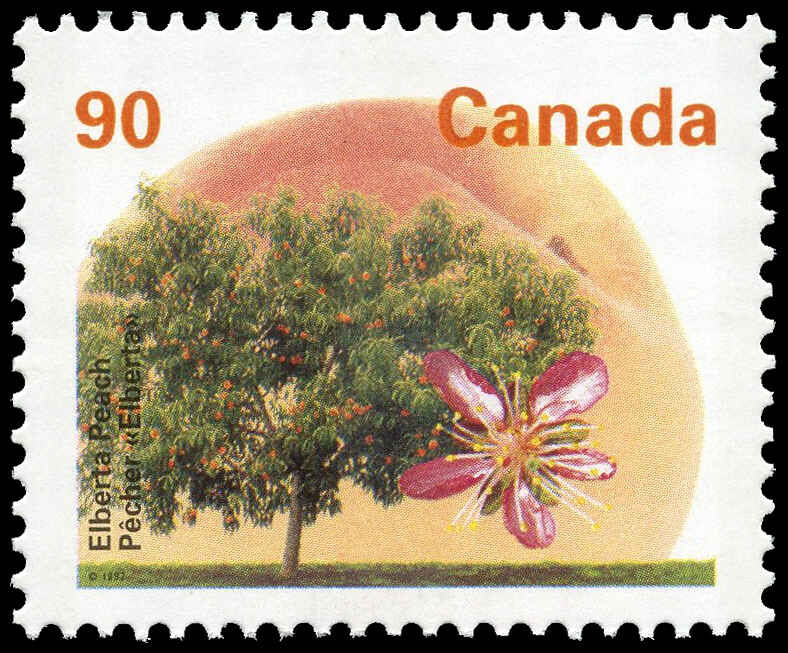 Elberta Peach - CPP - Perf 14.4 X 13.8 - Canada Postage Stamp | Fruit Trees